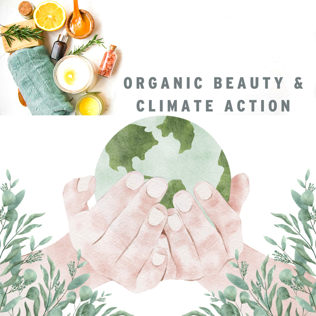 Harnessing the Power of Nature: Zatik Naturals' Commitment to Organic